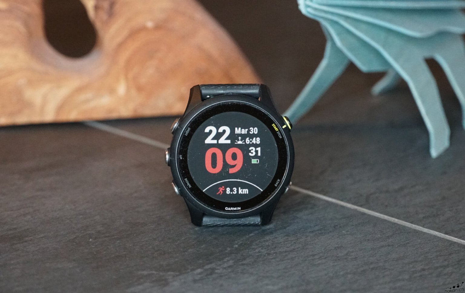 Garmin Forerunner 255: le test de fond en comble - nakan.ch