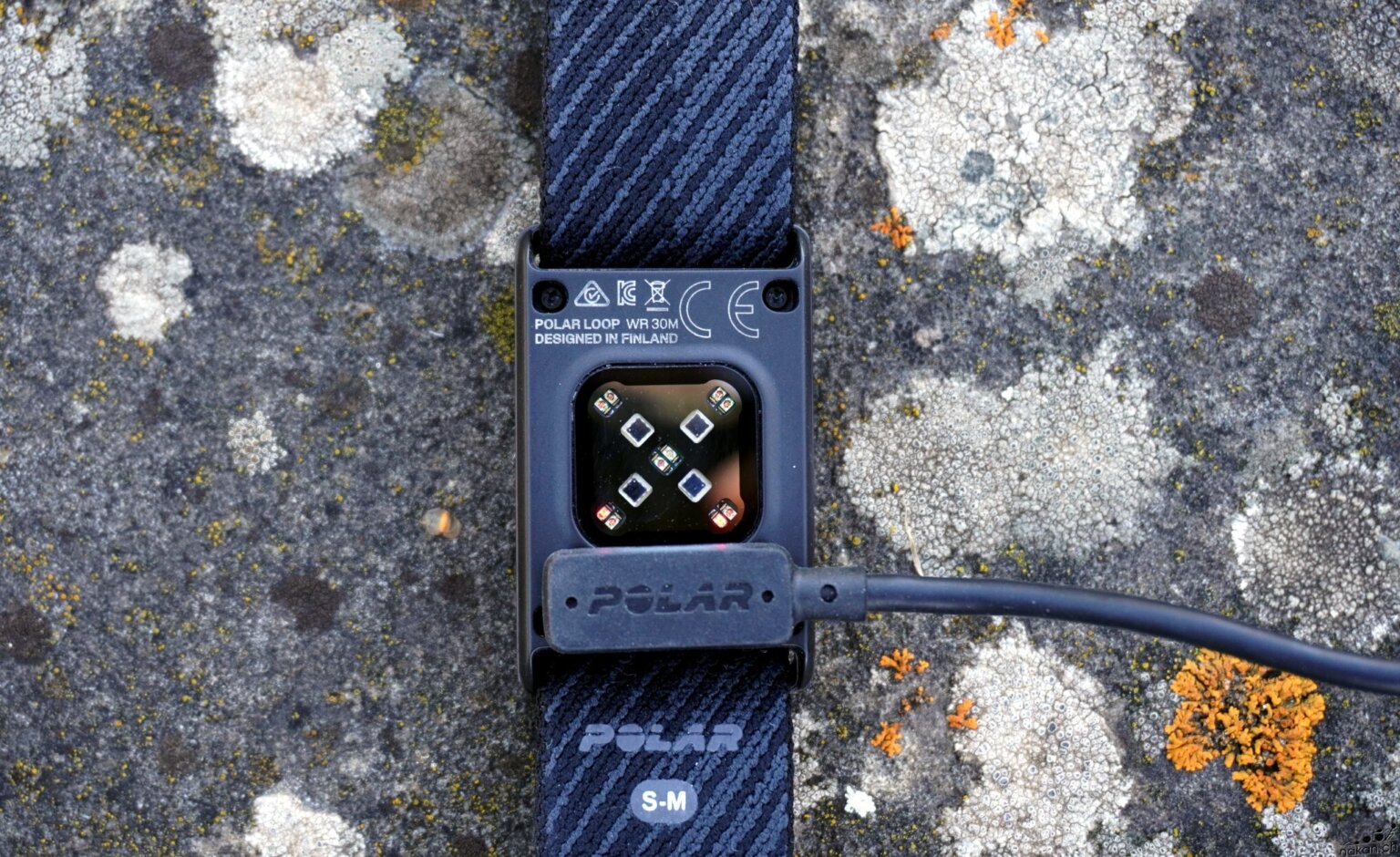 Le Polar Loop (2025) testé de fond en comble - nakan.ch