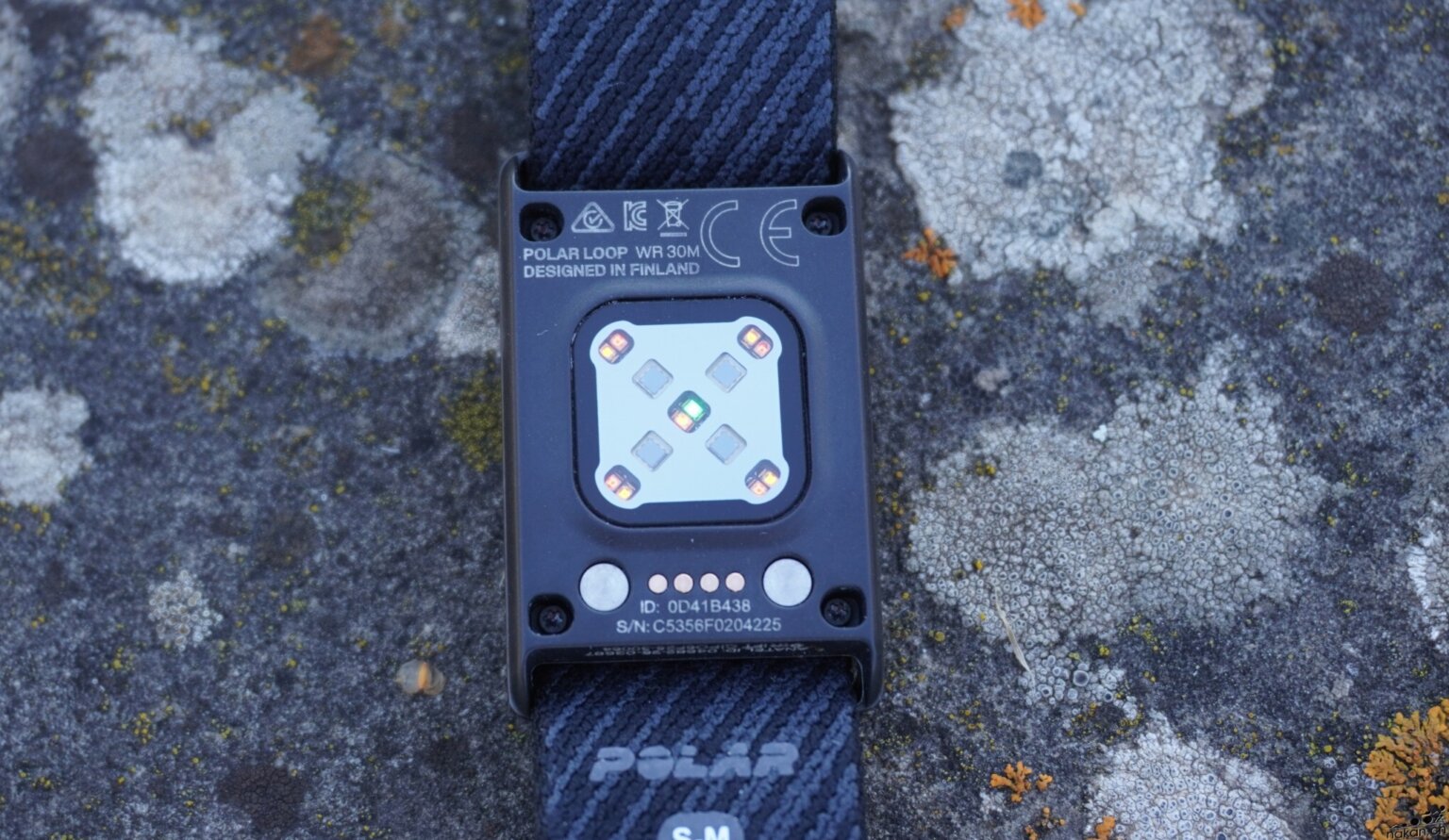 Le Polar Loop (2025) testé de fond en comble - nakan.ch